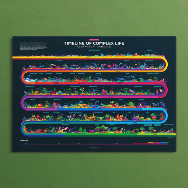Timeline of Complex Life | Infographic Poster – the kurzgesagt shop