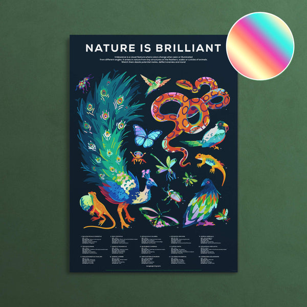Brilliant Creatures Poster (Printed with Shiny Foil) – the kurzgesagt shop