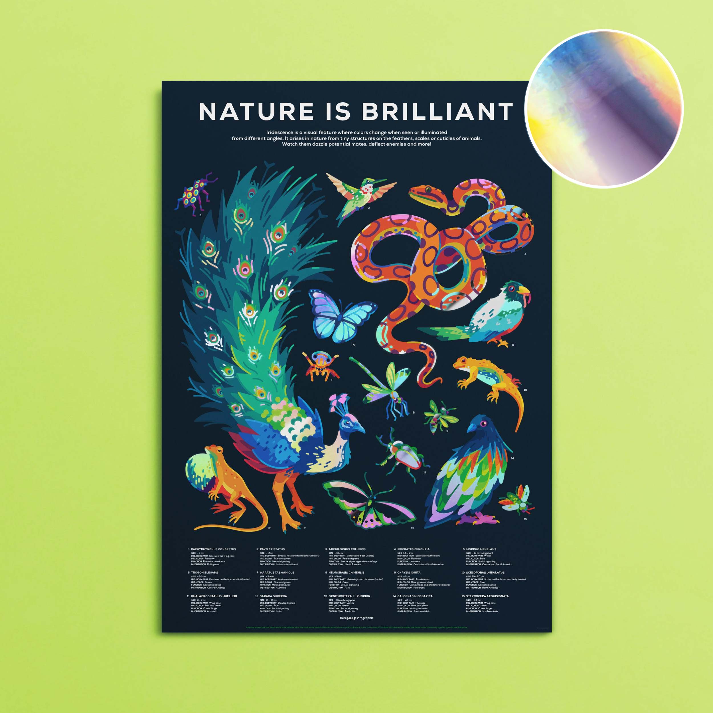 Posters & Wall Art – Inspired by Science, Elaborately Illustrated – the ...