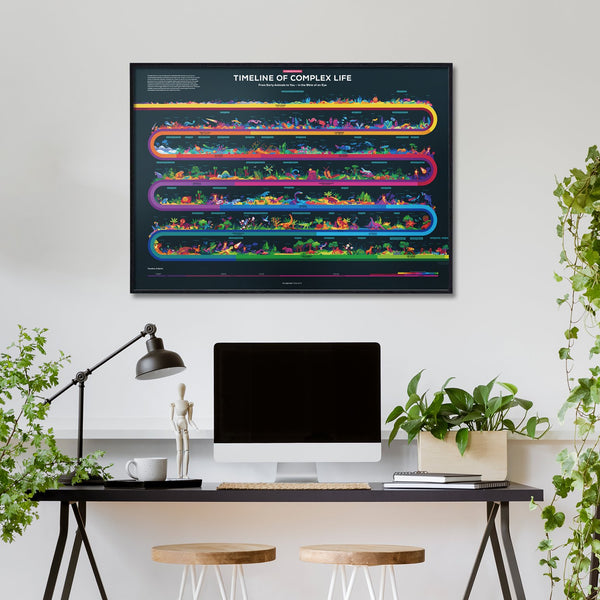 Timeline of Complex Life | Infographic Poster – the kurzgesagt shop