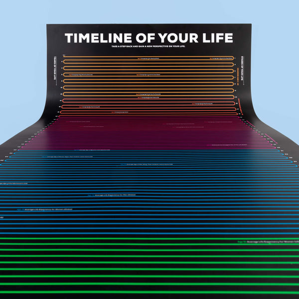 Timeline of Your Life Infographic Poster – the kurzgesagt shop
