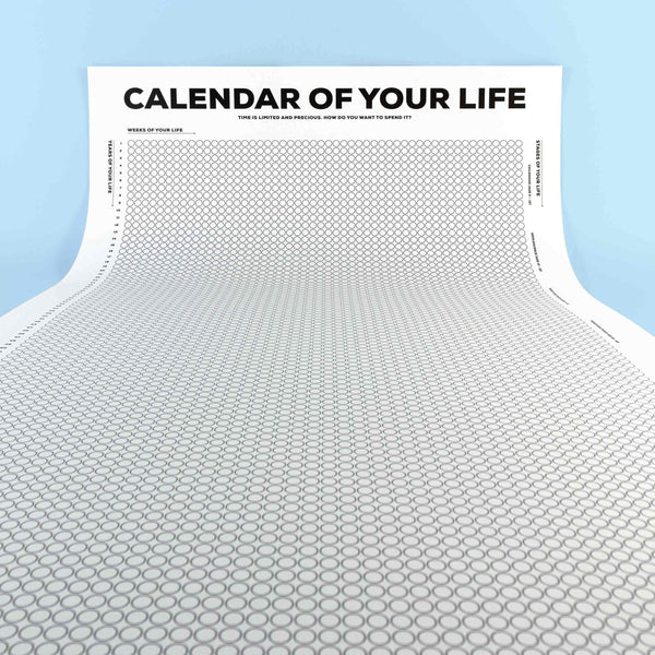 Calendar of Your Life Infographic Poster (B&W) – the kurzgesagt shop