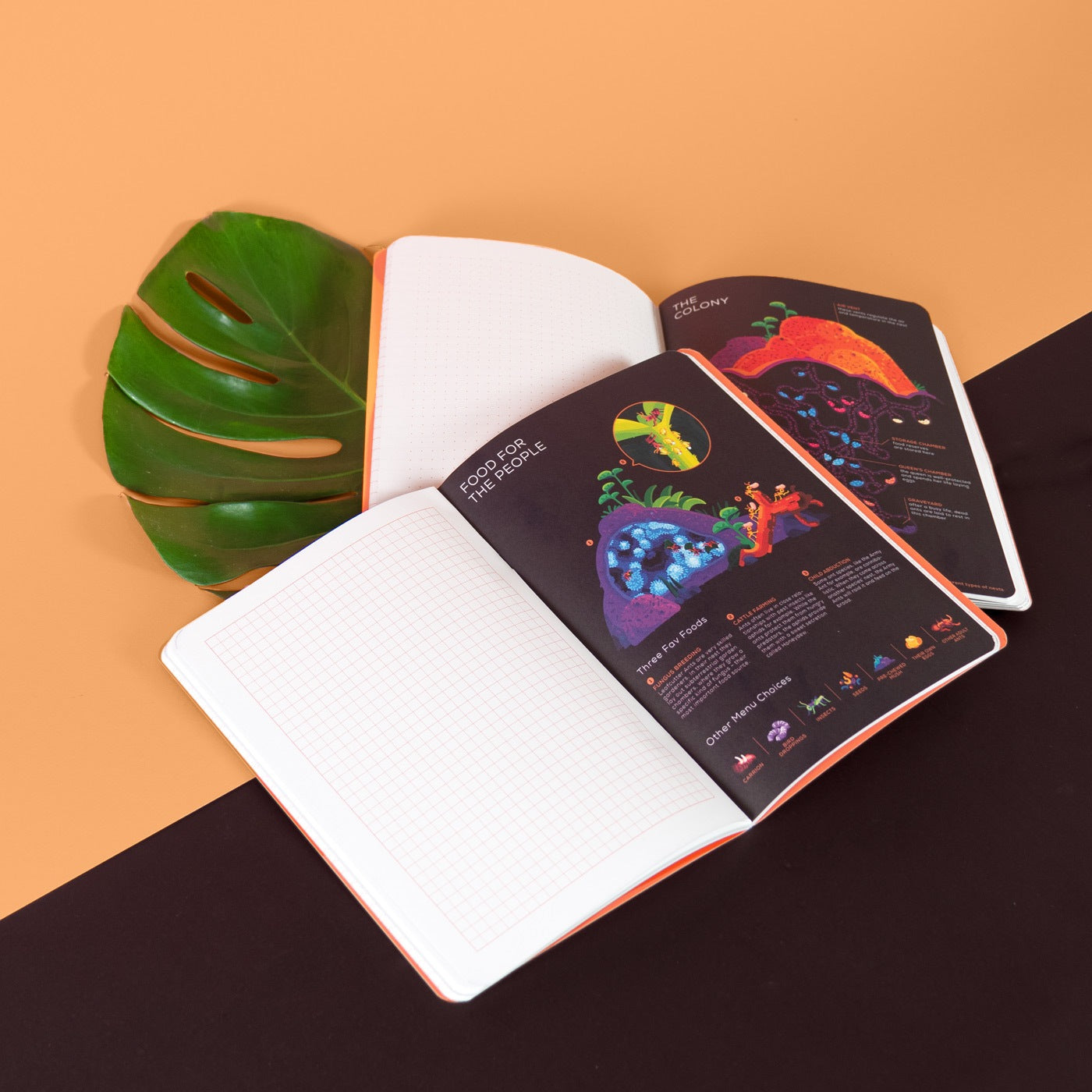 Notebooks Inspired by Science – the kurzgesagt shop