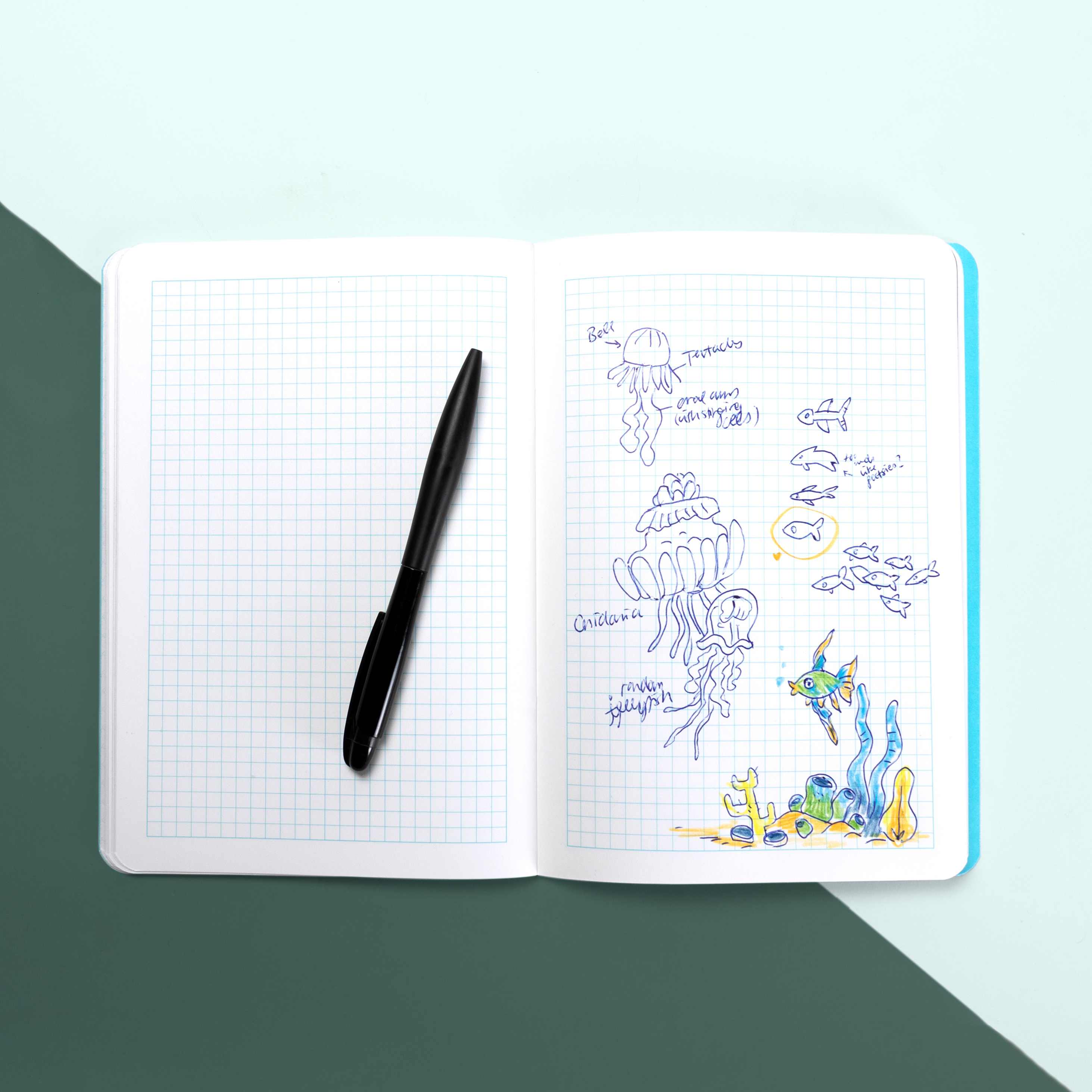 Ocean Explorer Notebook – the kurzgesagt shop